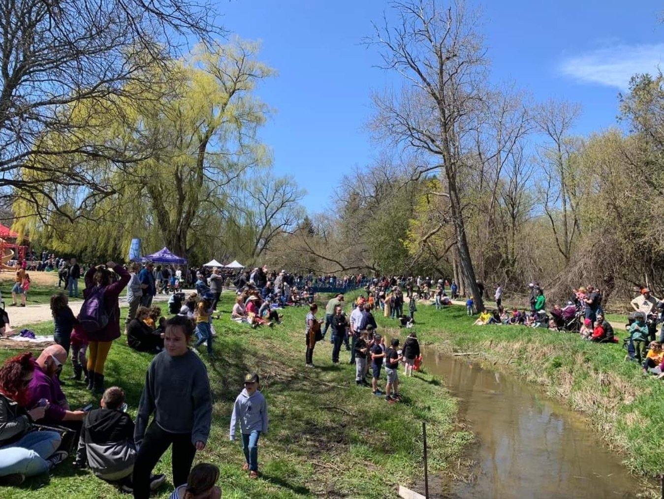 Annual Duck Race – Stayner & District Kinsmen